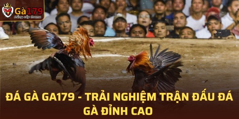 Đá Gà GA179 - Trải Nghiệm Các Trận Đá Gà Đỉnh Cao 2025
